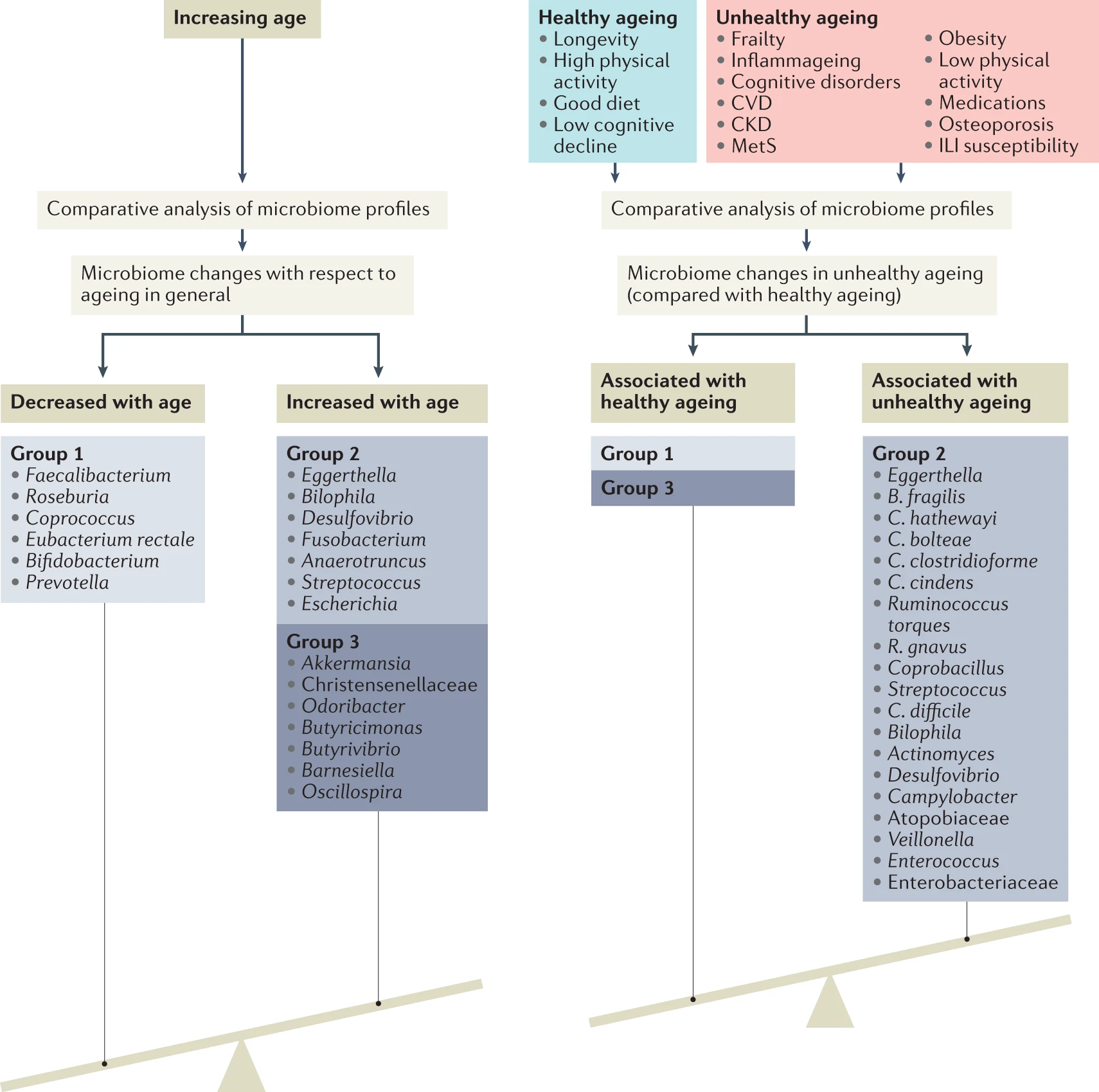Microbiome and Age – Microbiome Prescription Blog